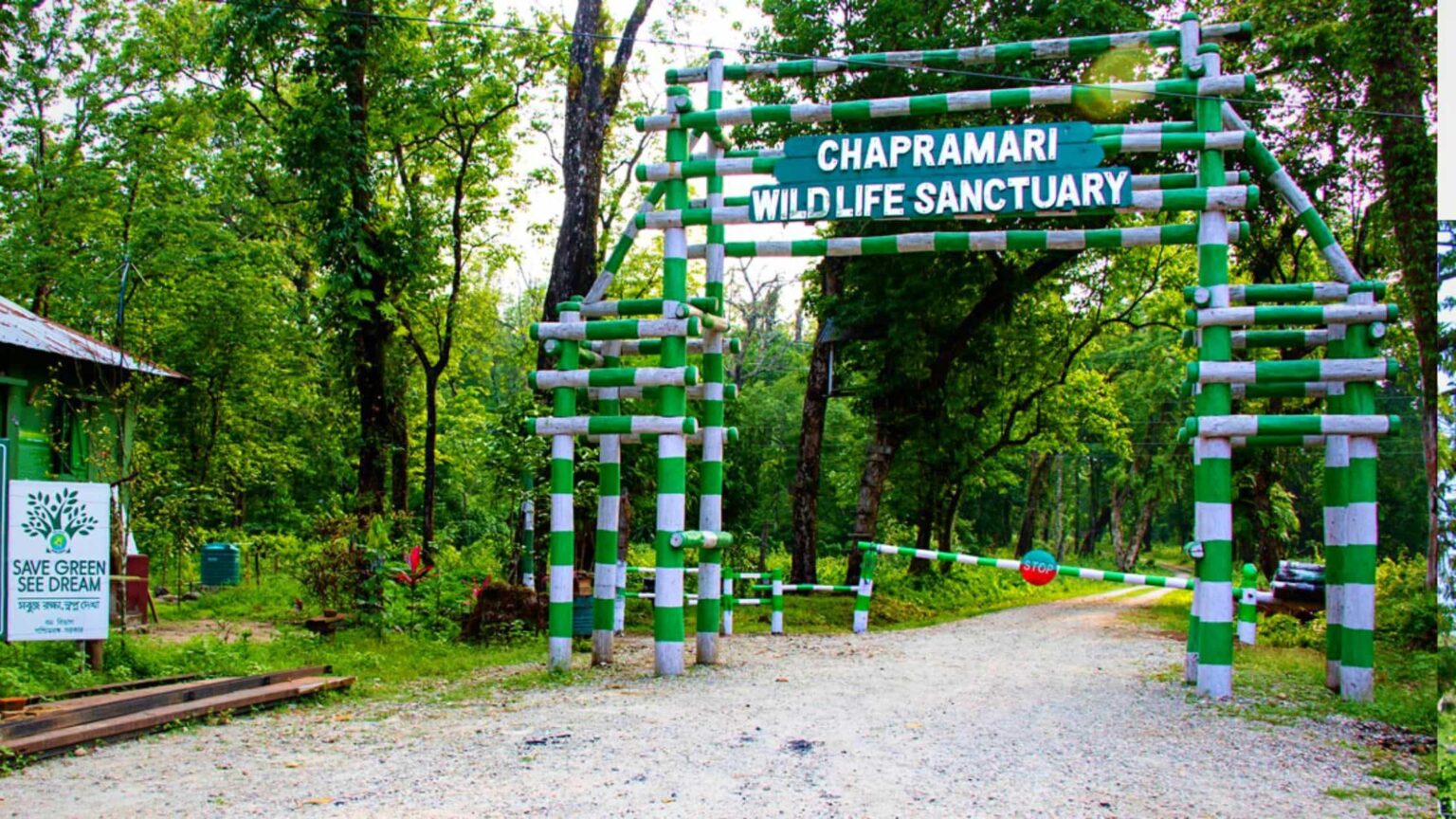 These Are the 5 Best Places to Visit in Lataguri