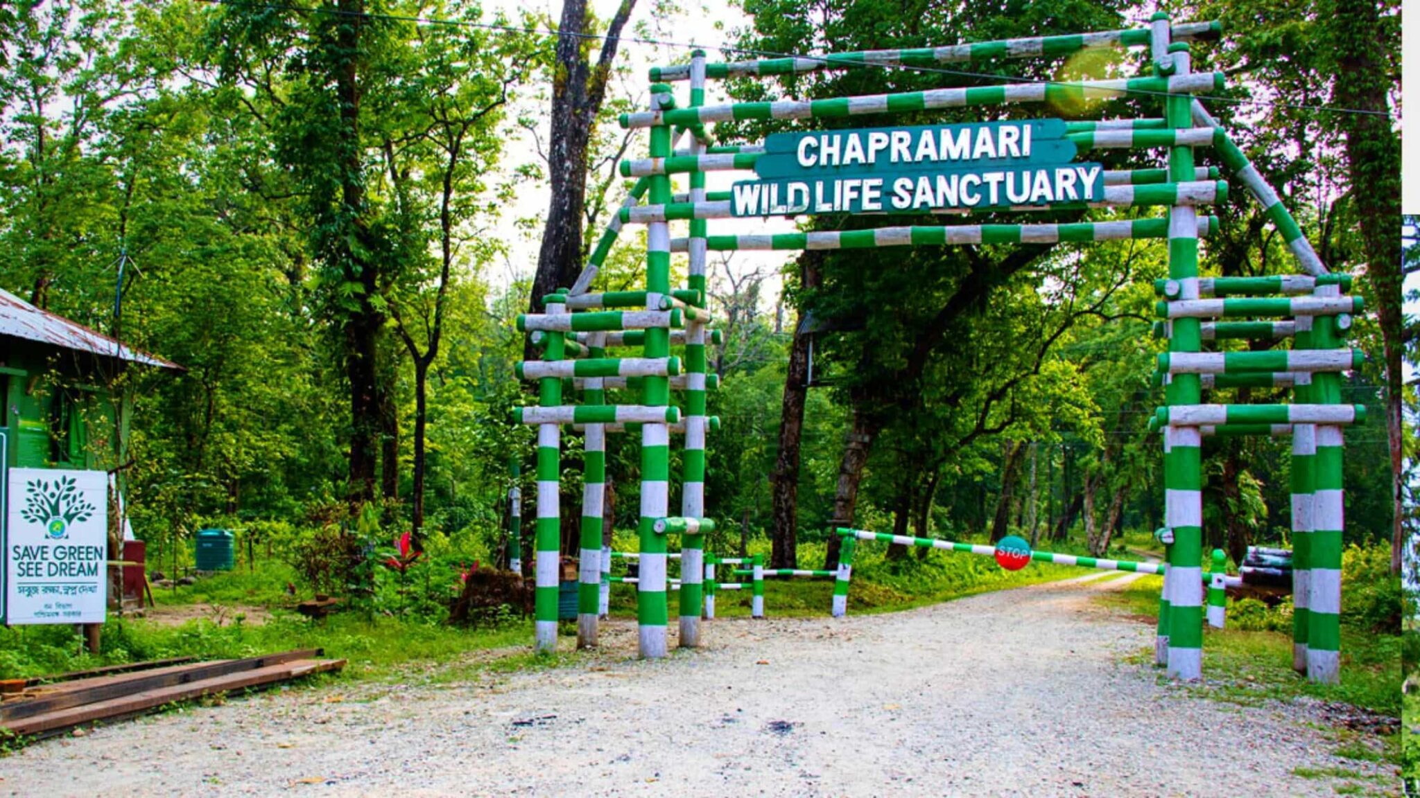 These Are the 5 Best Places to Visit in Lataguri