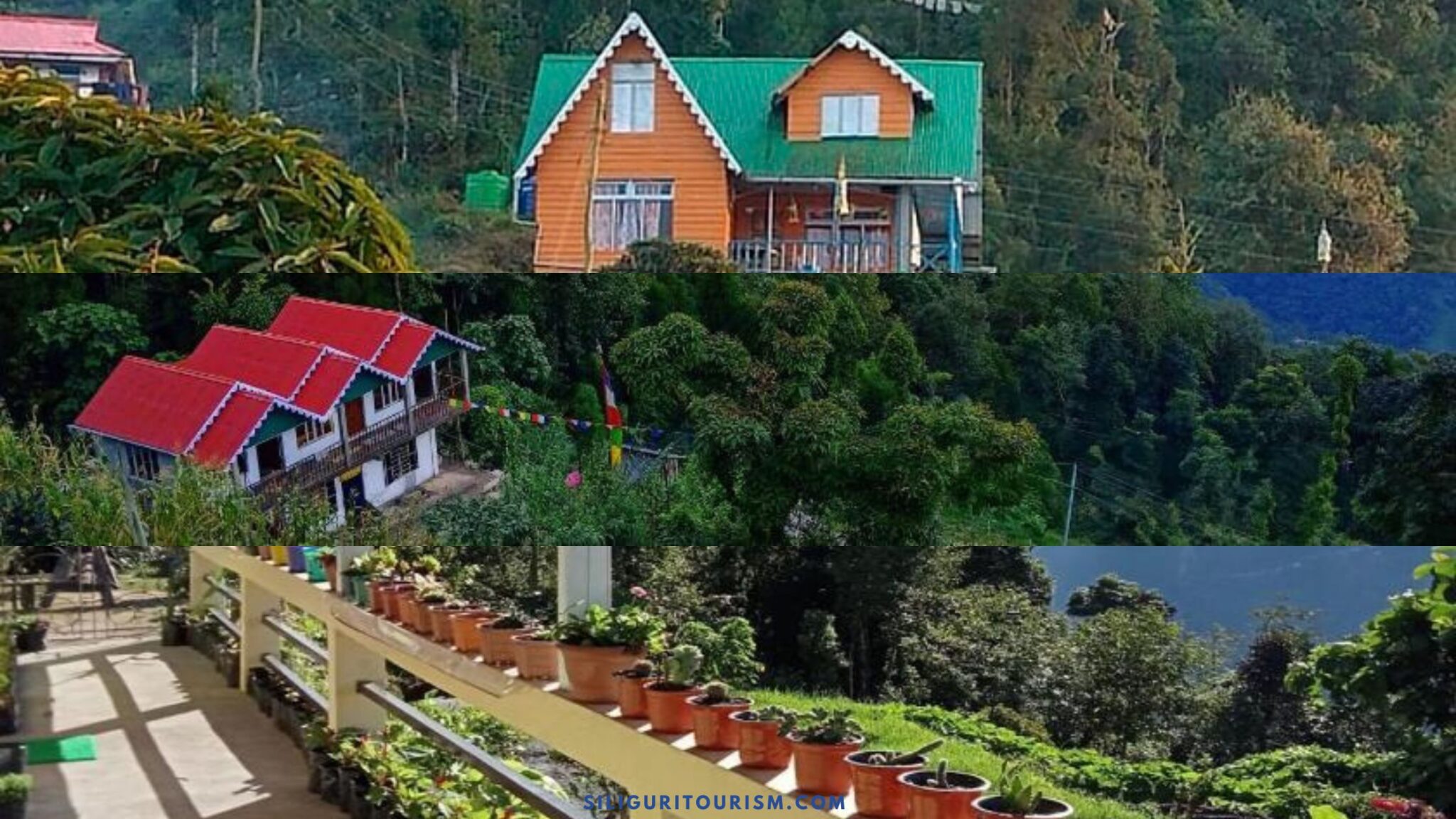 Dawaipani Darjeeling - Sightseeing, Attractions, Activities