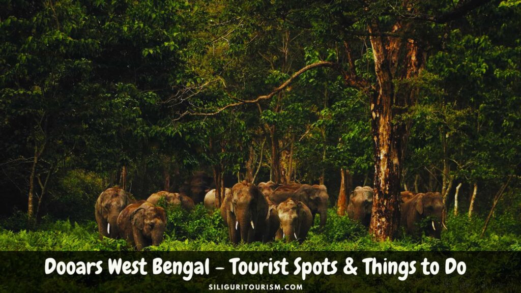 Dooars - Tourist Spot, Sightseeing Places, Things to Do