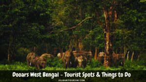 Dooars - Tourist Spot, Sightseeing Places, Things to Do