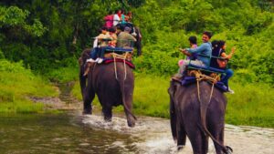 Dooars - Tourist Spot, Sightseeing Places, Things to Do