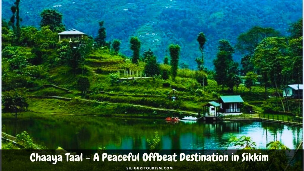 Chaaya Taal - A Peaceful Offbeat Destination in Sikkim