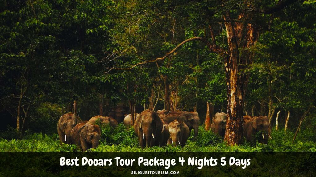 Dooars Tour Package 4 Nights 5 Days