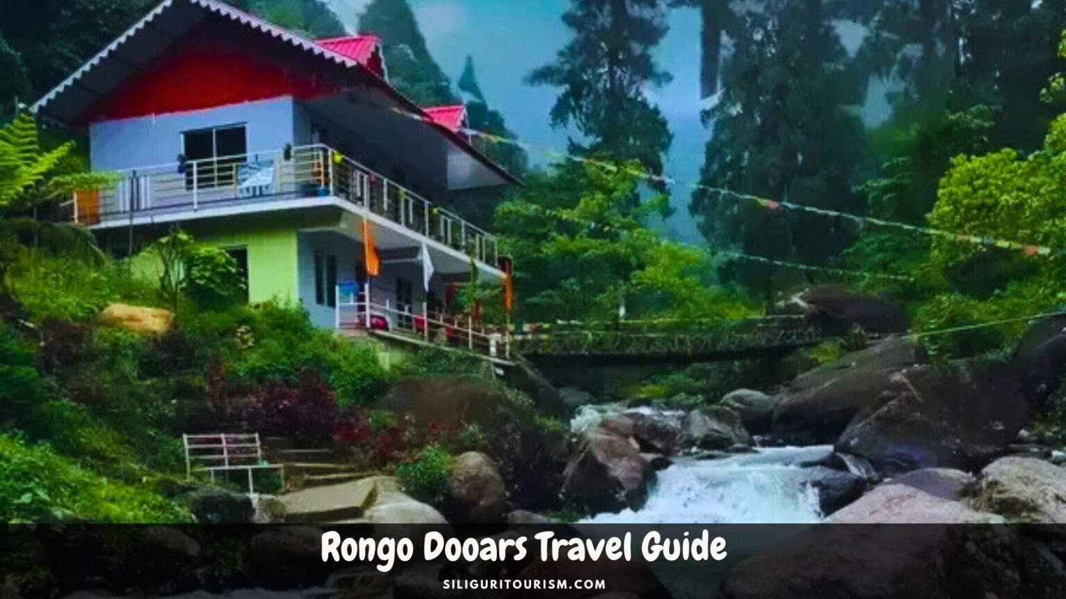 Rongo Dooars - Detailed Travel Guide and Sightseeing