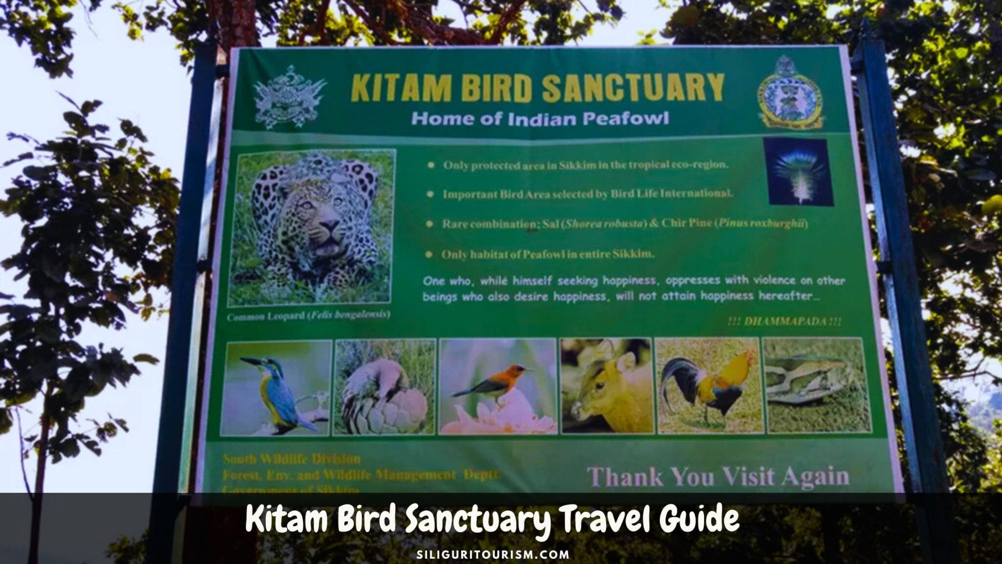 Kitam Bird Sanctuary - Travel Guide, Attractions